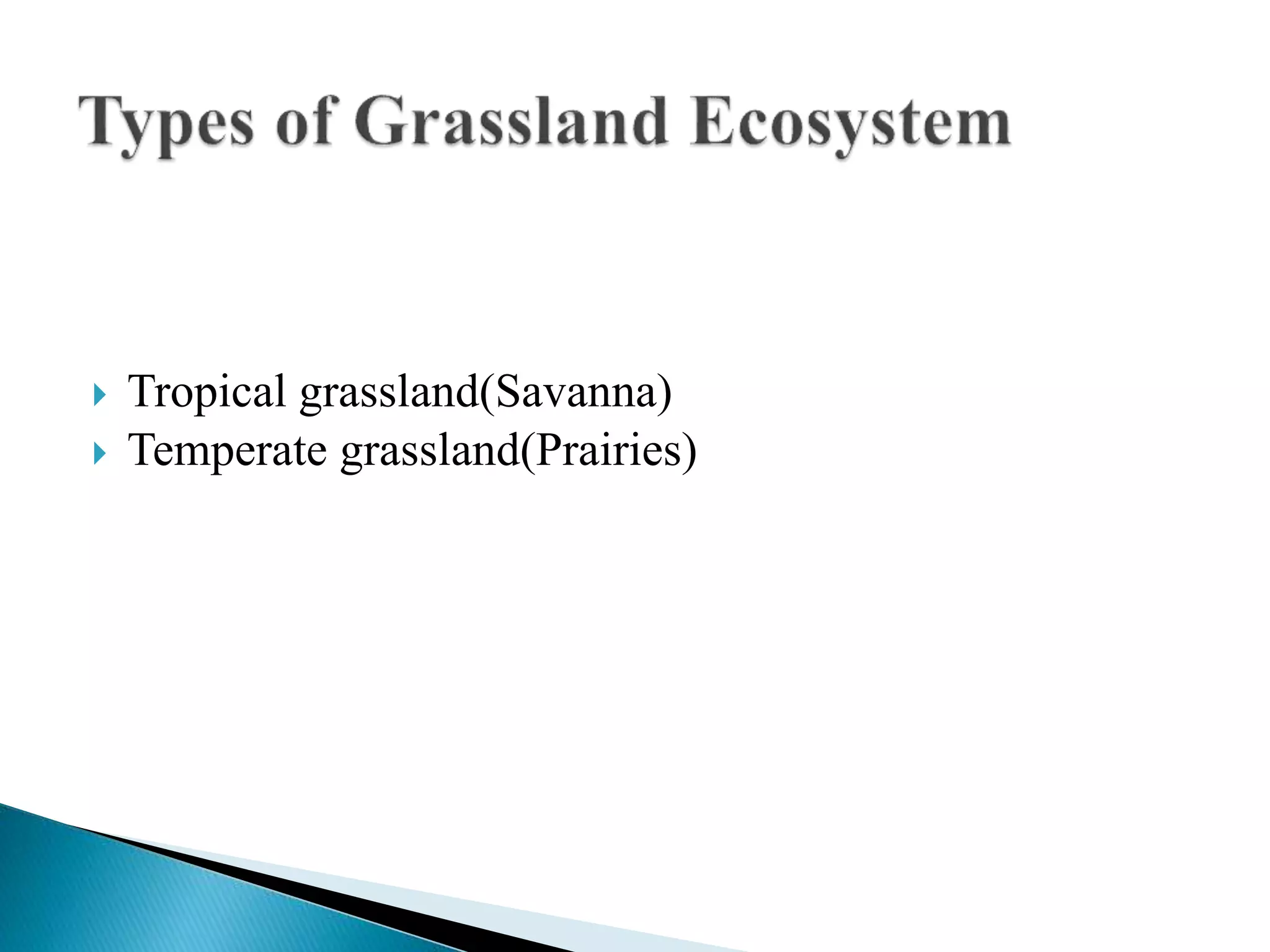 Ecosystems of Pakistan and World | PPTX