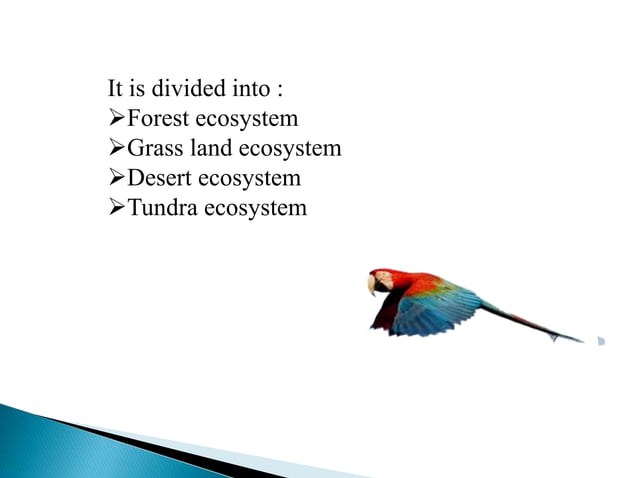 Ecosystems of Pakistan and World | PPTX | Geography | Science