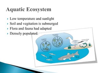 Ecosystems of Pakistan and World | PPTX