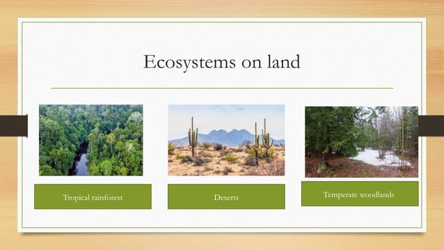 Ecosystems of the Earth biology year 8.pptx