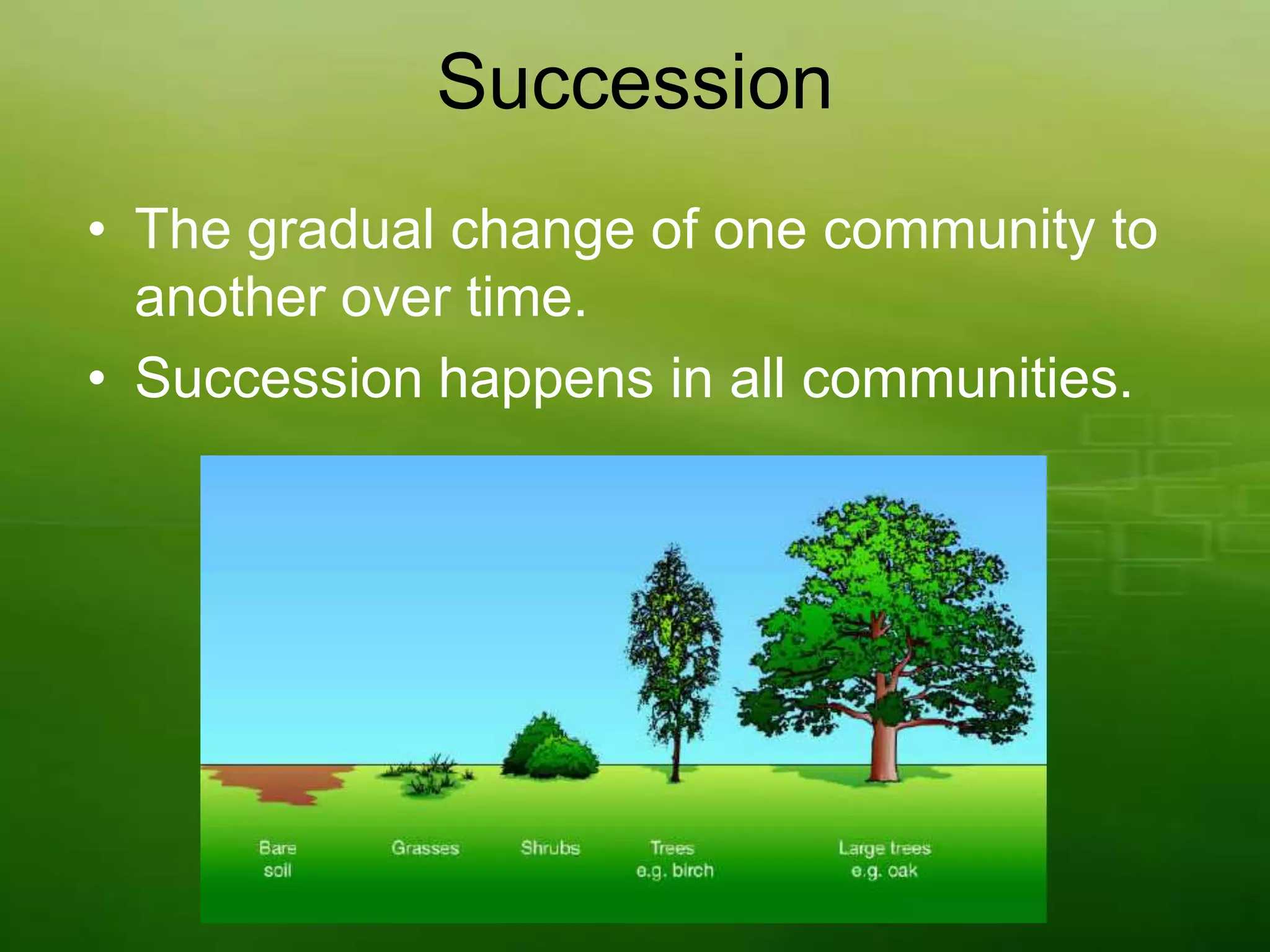 Ecosystems For Grades 4-6 | PPTX