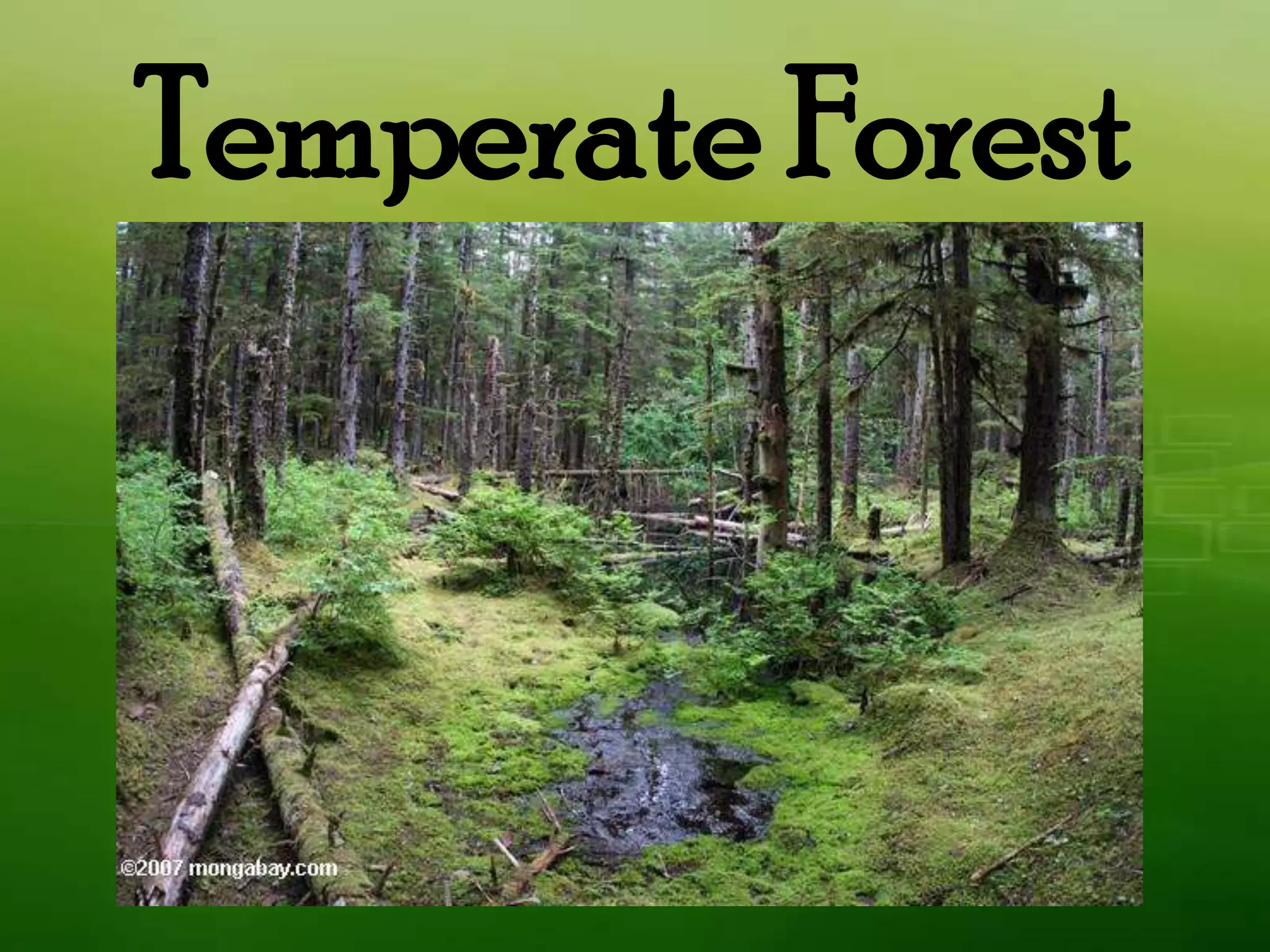 Ecosystems For Grades 4-6 | PPTX