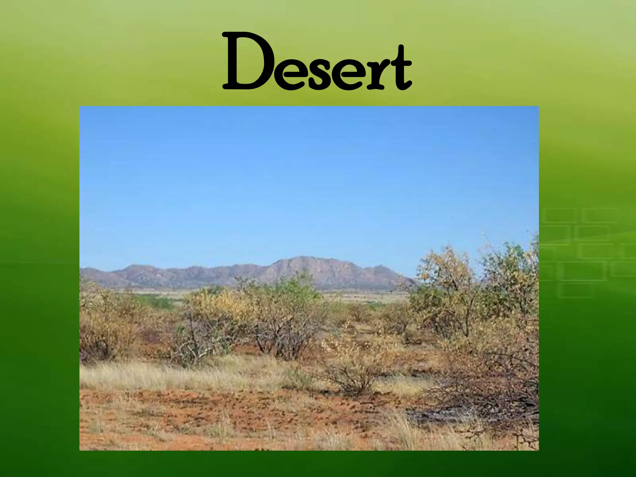 Ecosystems For Grades 4-6 | PPTX