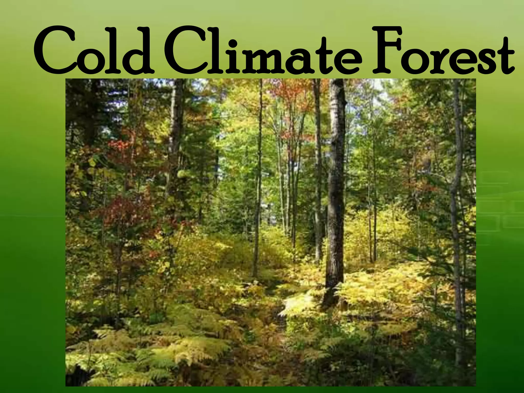 Ecosystems For Grades 4-6 | PPTX