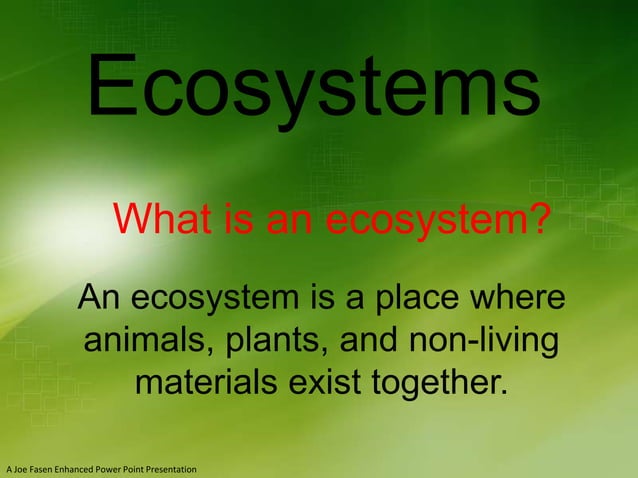 Ecosystems For Grades 4-6 | PPTX | Biological Sciences | Science
