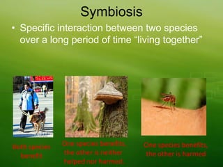 Ecosystems For Grades 4-6 | PPTX