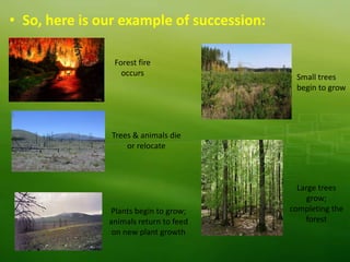 Ecosystems For Grades 4-6 | PPTX