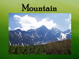 Ecosystems For Grades 4-6 | PPTX