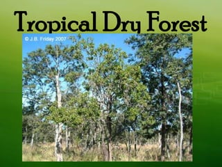 Ecosystems For Grades 4-6 | PPTX