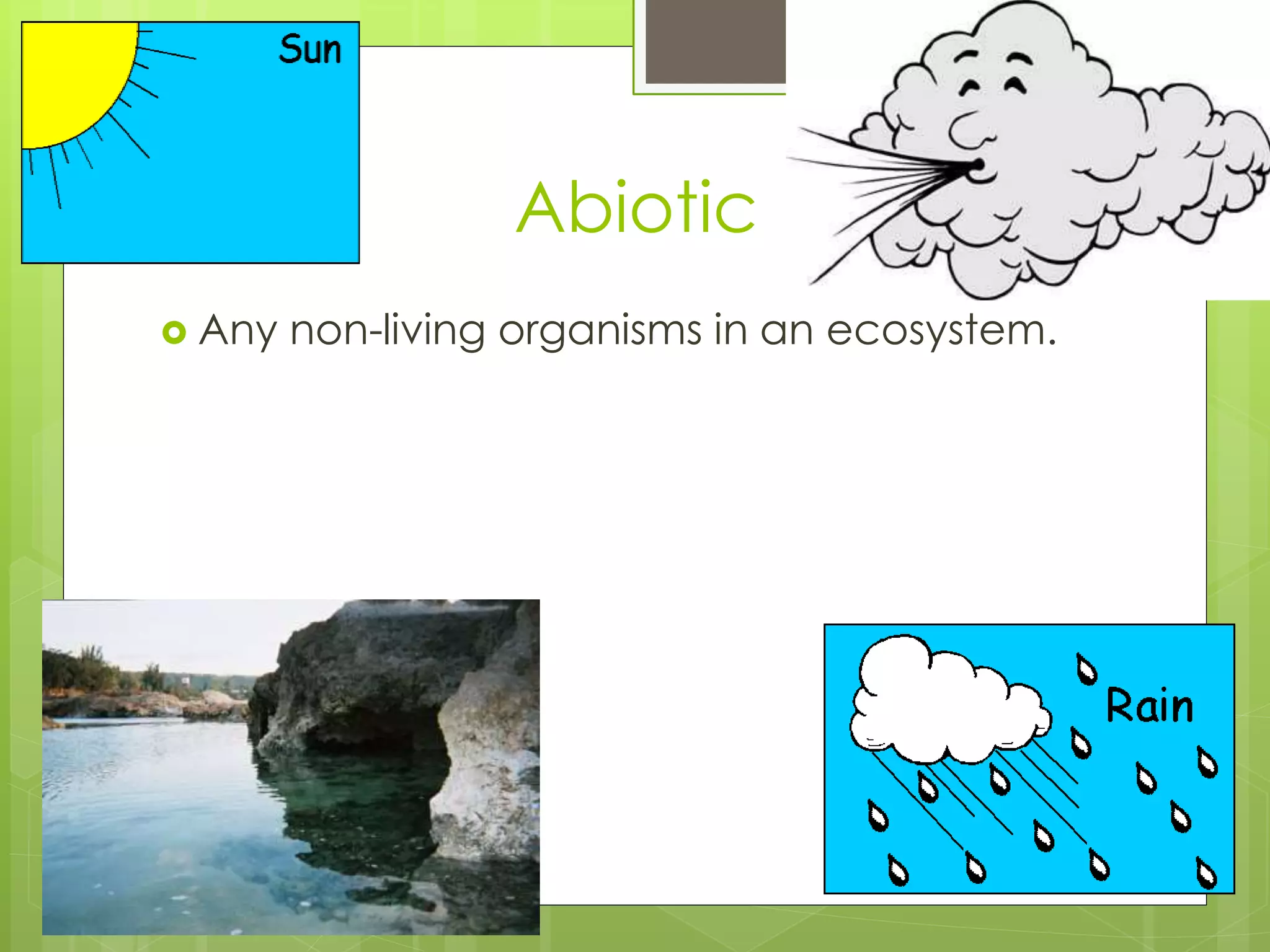 Ecosystems powerpoint | PPTX
