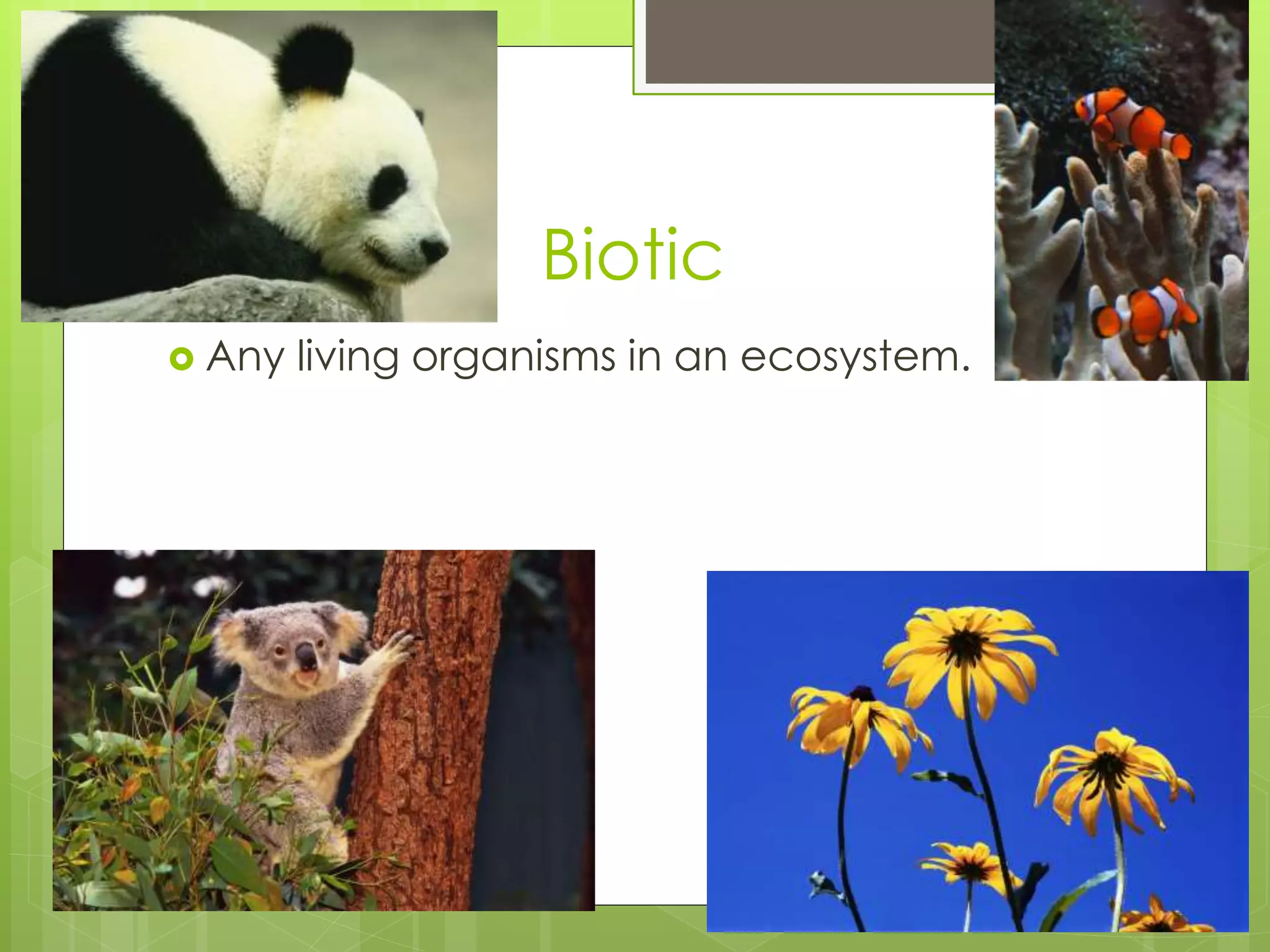 Ecosystems powerpoint | PPTX