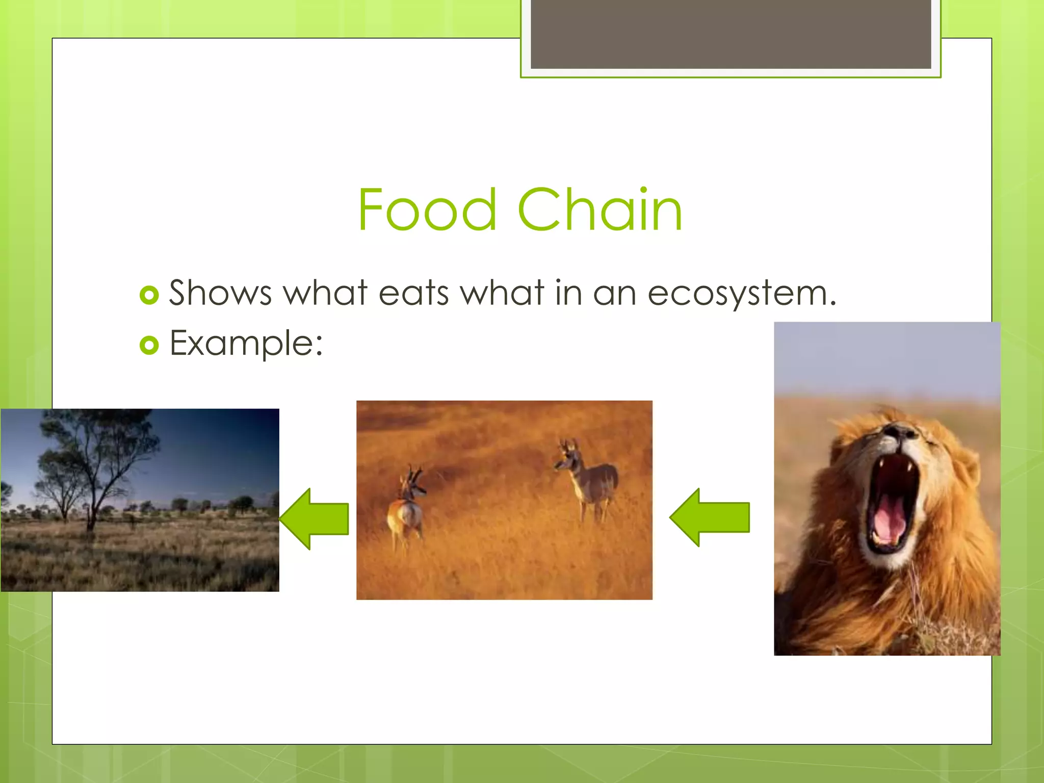 Ecosystems powerpoint | PPTX