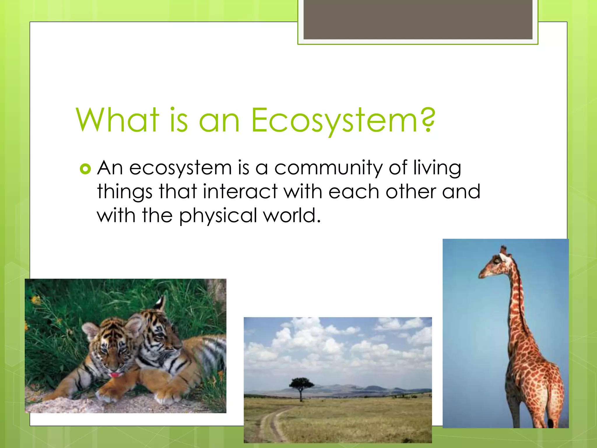 Ecosystems powerpoint | PPTX