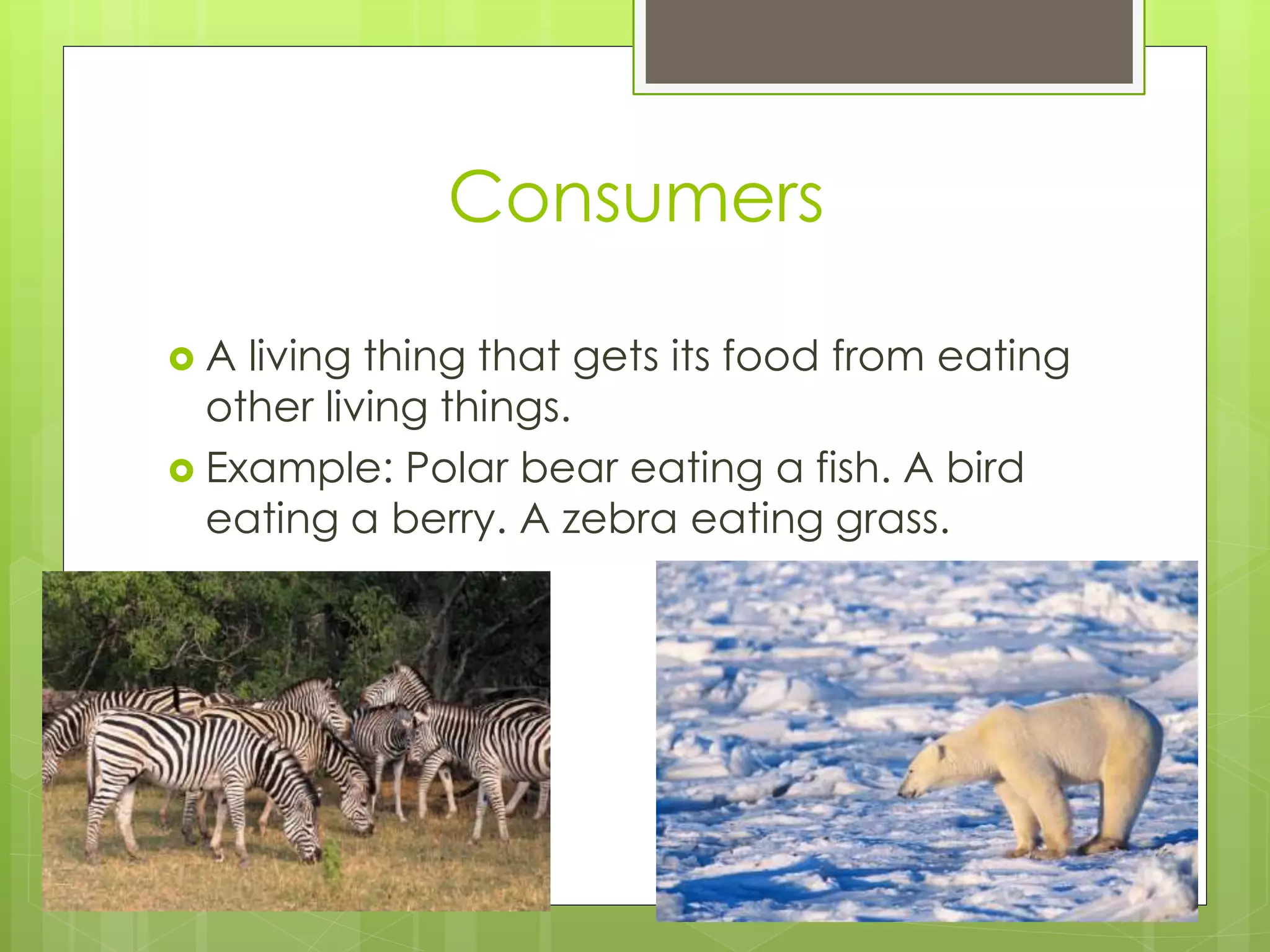 Ecosystems powerpoint | PPTX