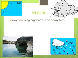 Ecosystems powerpoint | PPTX