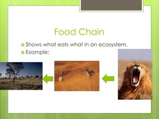 Ecosystems powerpoint | PPTX