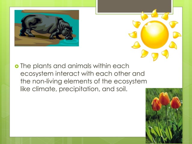 Ecosystems powerpoint | PPTX | Geography | Science