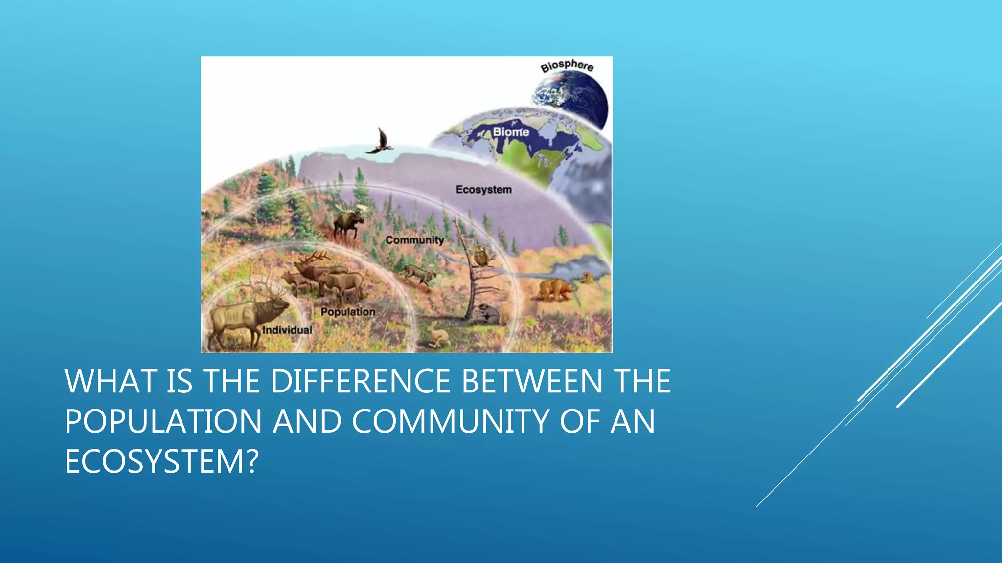 Ecosystems questions | PPT