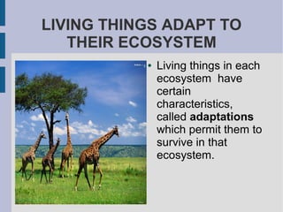 Ecosystem srcm tema 4 | PPT