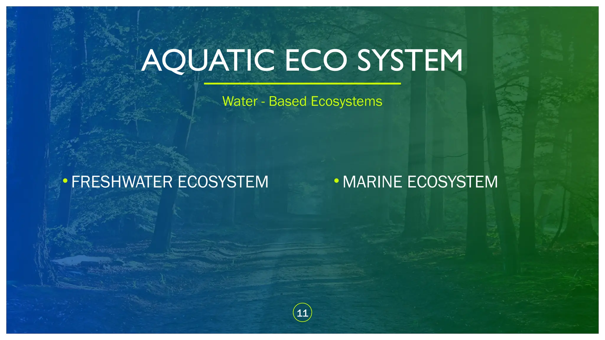 Types of ECOSYSTEMS in the Environment We Live In | PPT