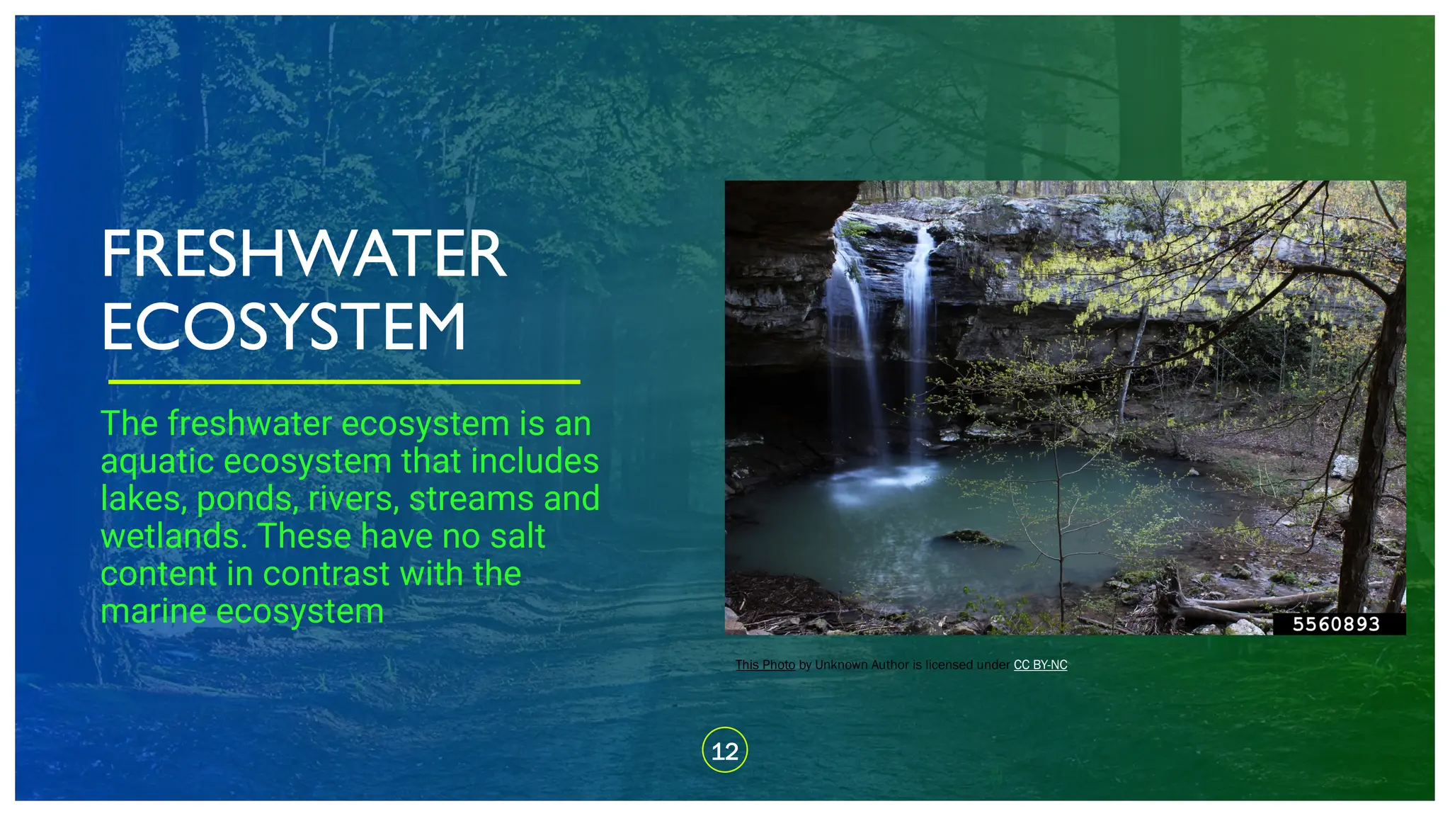 Types of ECOSYSTEMS in the Environment We Live In | PPT