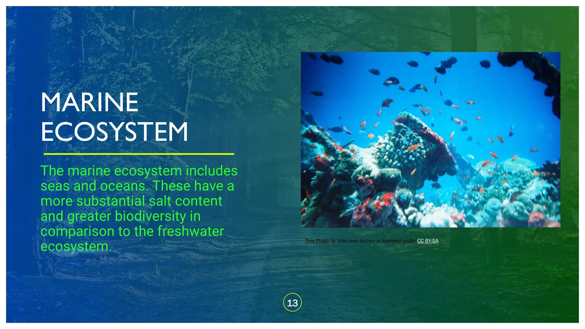 Types of ECOSYSTEMS in the Environment We Live In | PPT