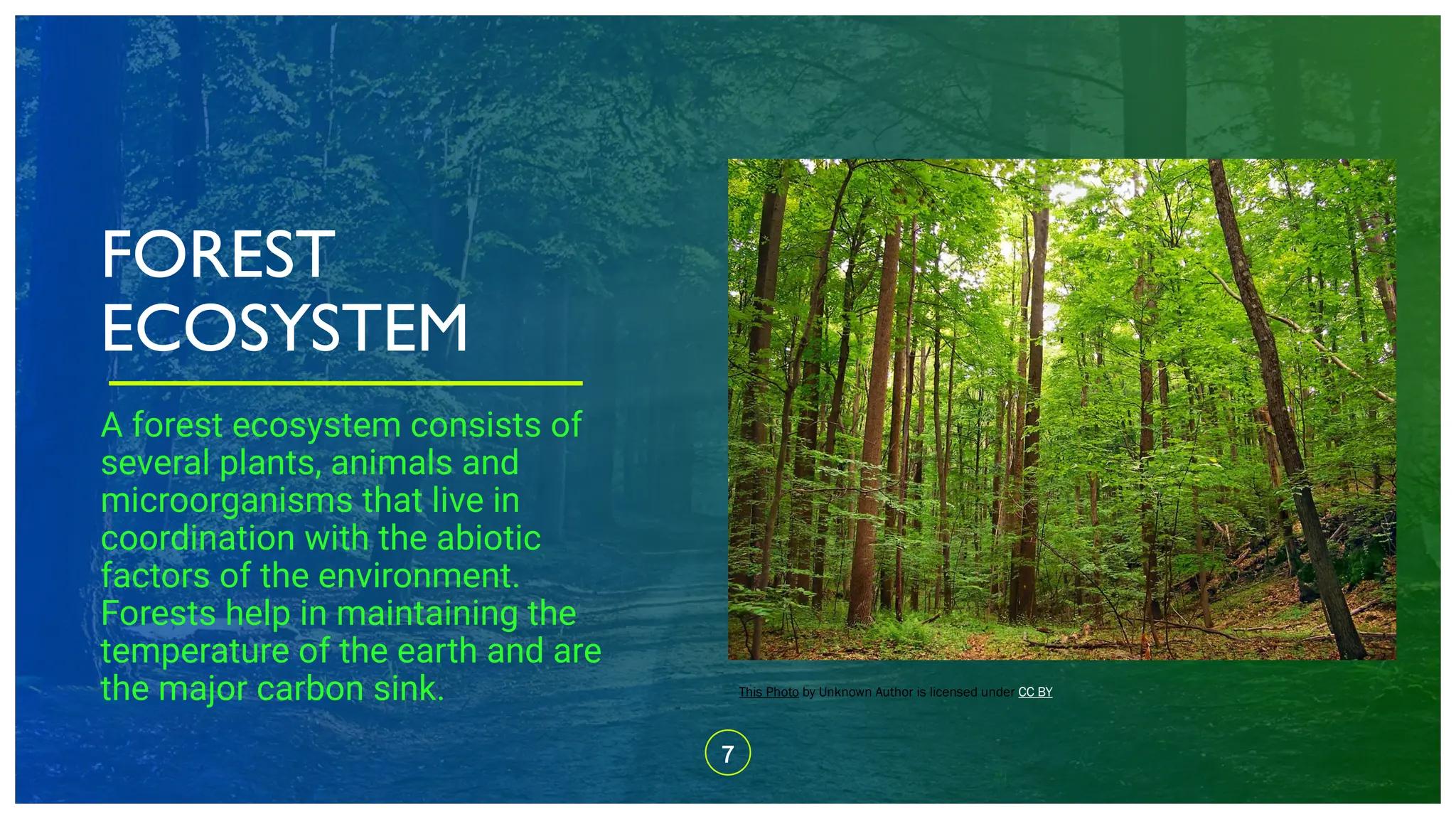 Types of ECOSYSTEMS in the Environment We Live In | PPT