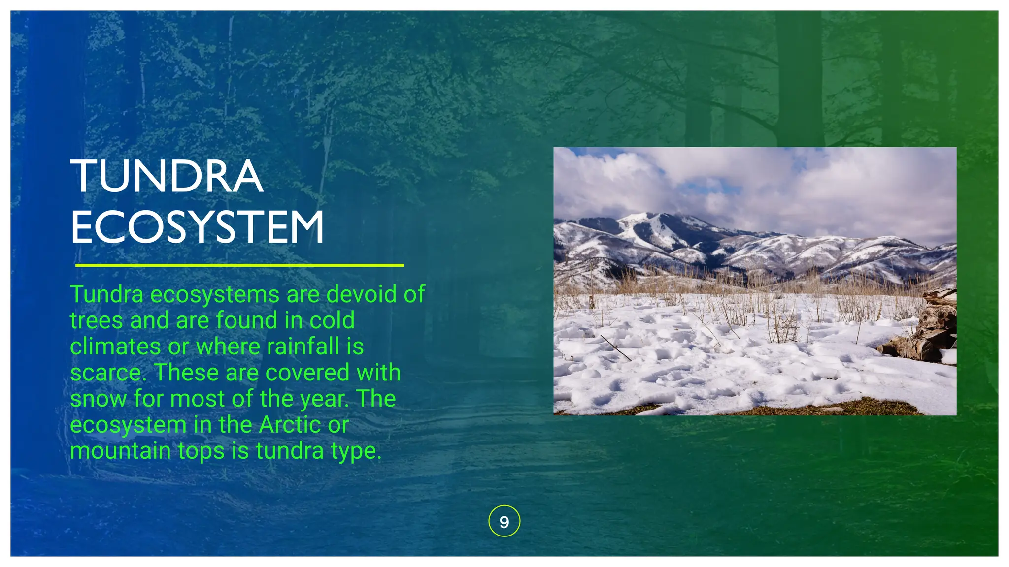 Types of ECOSYSTEMS in the Environment We Live In | PPT