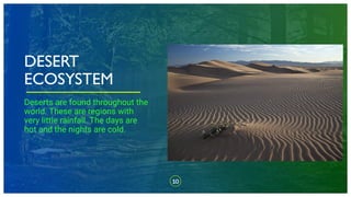 Types of ECOSYSTEMS in the Environment We Live In | PPTX