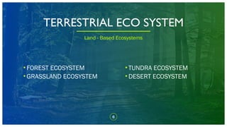 Types of ECOSYSTEMS in the Environment We Live In | PPTX