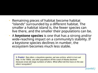 What is Ecosystem Stability and its relevance.ppt
