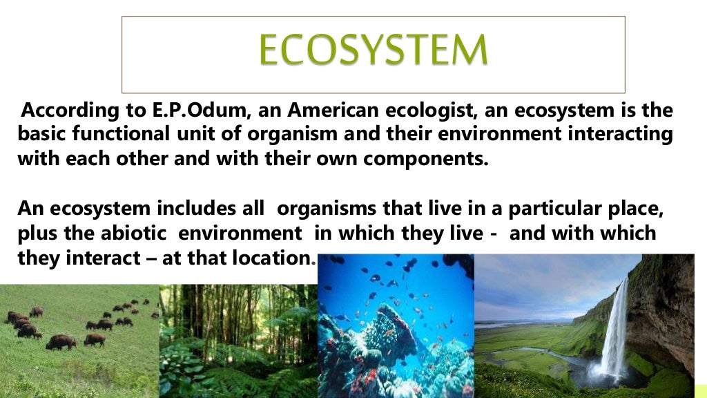 Ecosystem structure