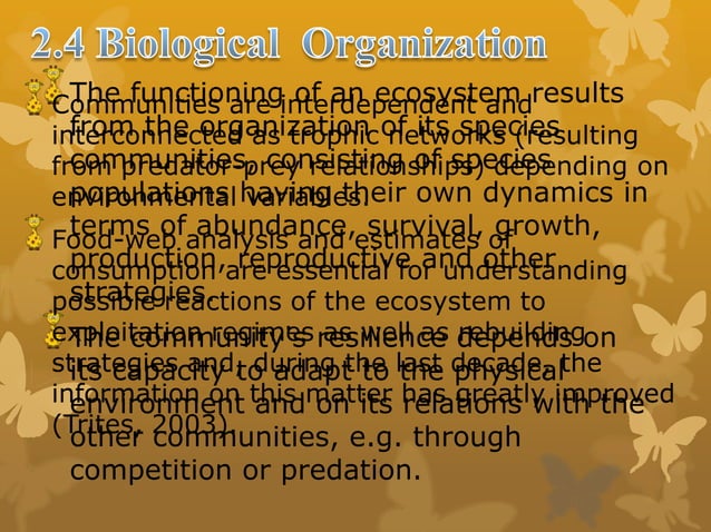 Ecosystem structure and function | PPTX