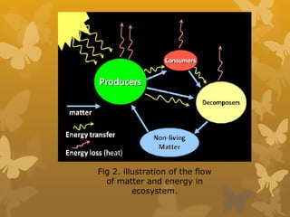 Ecosystem structure and function | PPTX