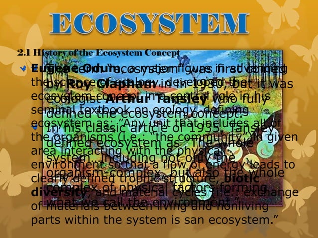 Ecosystem structure and function | PPTX