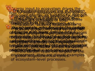 Ecosystem structure and function | PPTX