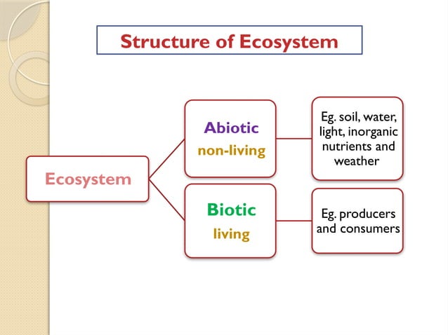 Ecosystem Types_Structure and Functions.pptx