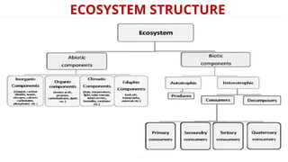 Ecology-Ecosystem Structure and functions.pptx