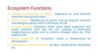 Ecology-Ecosystem Structure and functions.pptx