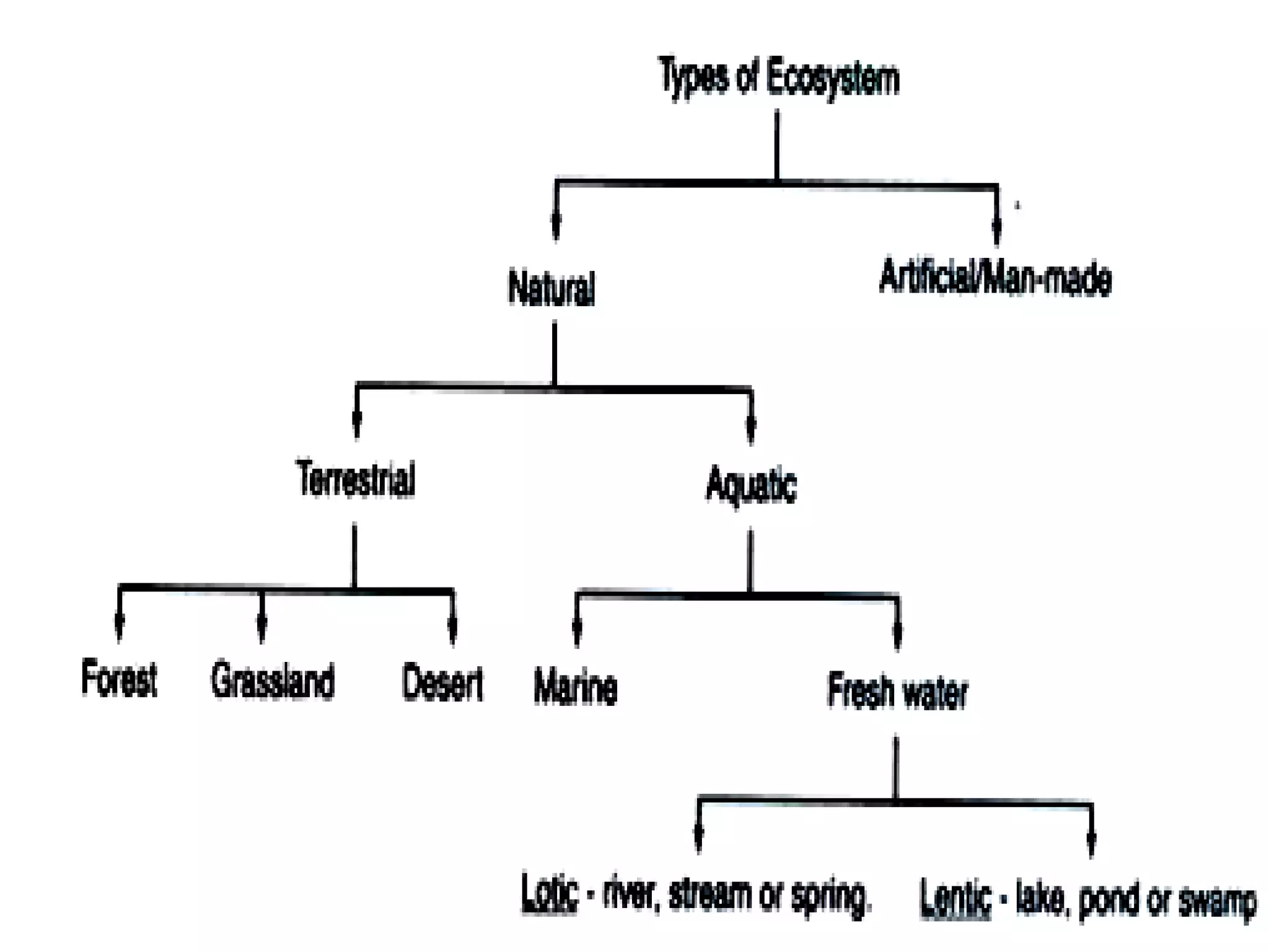Ecosystem Structure and Types ecosystem.pdf