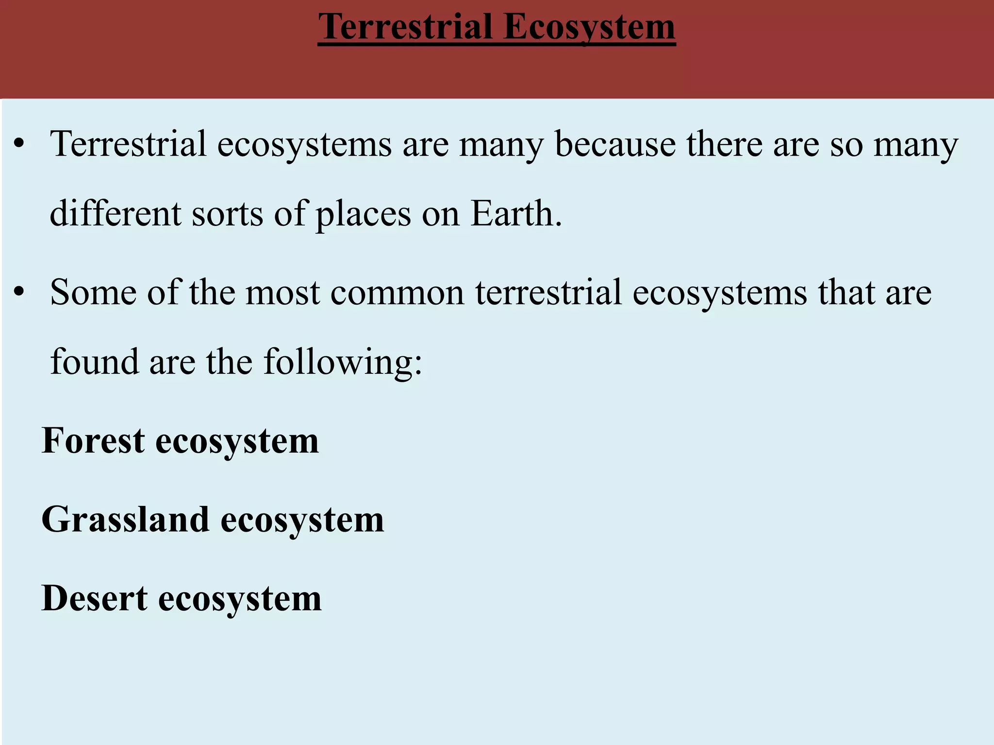 Ecosystem Structure and Types ecosystem.pdf