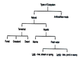 Ecosystem Structure and Types ecosystem.pdf