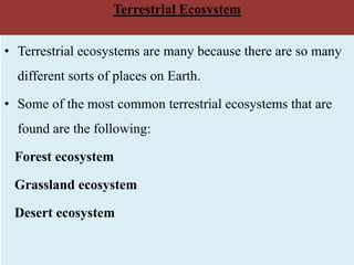 Ecosystem Structure and Types ecosystem.pdf
