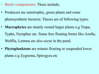 Ecosystem Structure and Types ecosystem.pdf