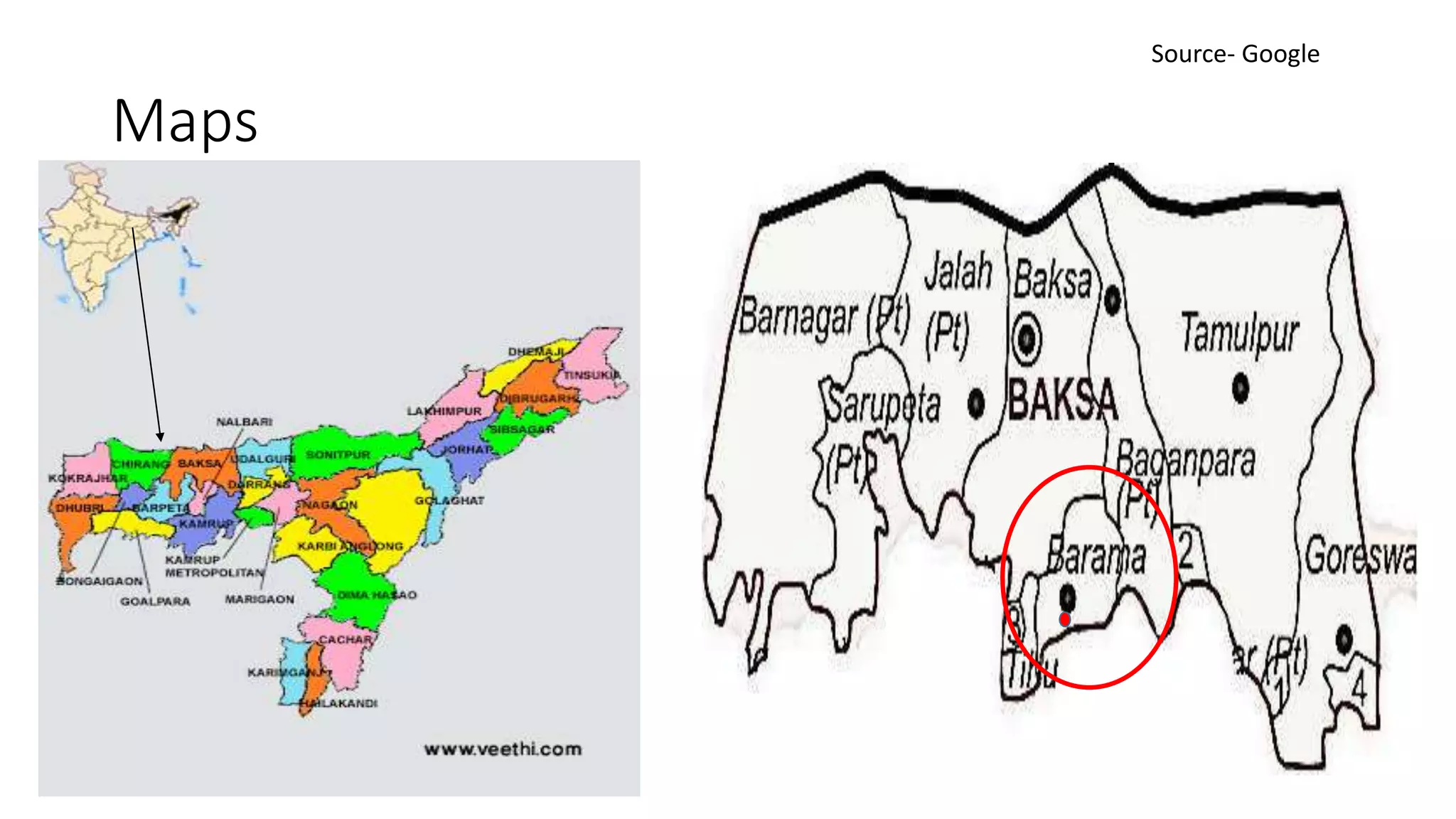 Ecosystem study of bodo tribe, in assam | PPTX