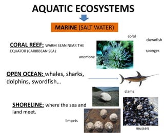 Natural Ecosystems unit 5 | PPTX