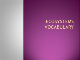 Ecosystems vocabulary | PPT