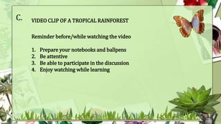 ECOSYSTEM TROPICAL RAINFOREST.pptx | Zoos & Aquariums | Attractions