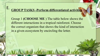 ECOSYSTEM TROPICAL RAINFOREST.pptx | Zoos & Aquariums | Attractions