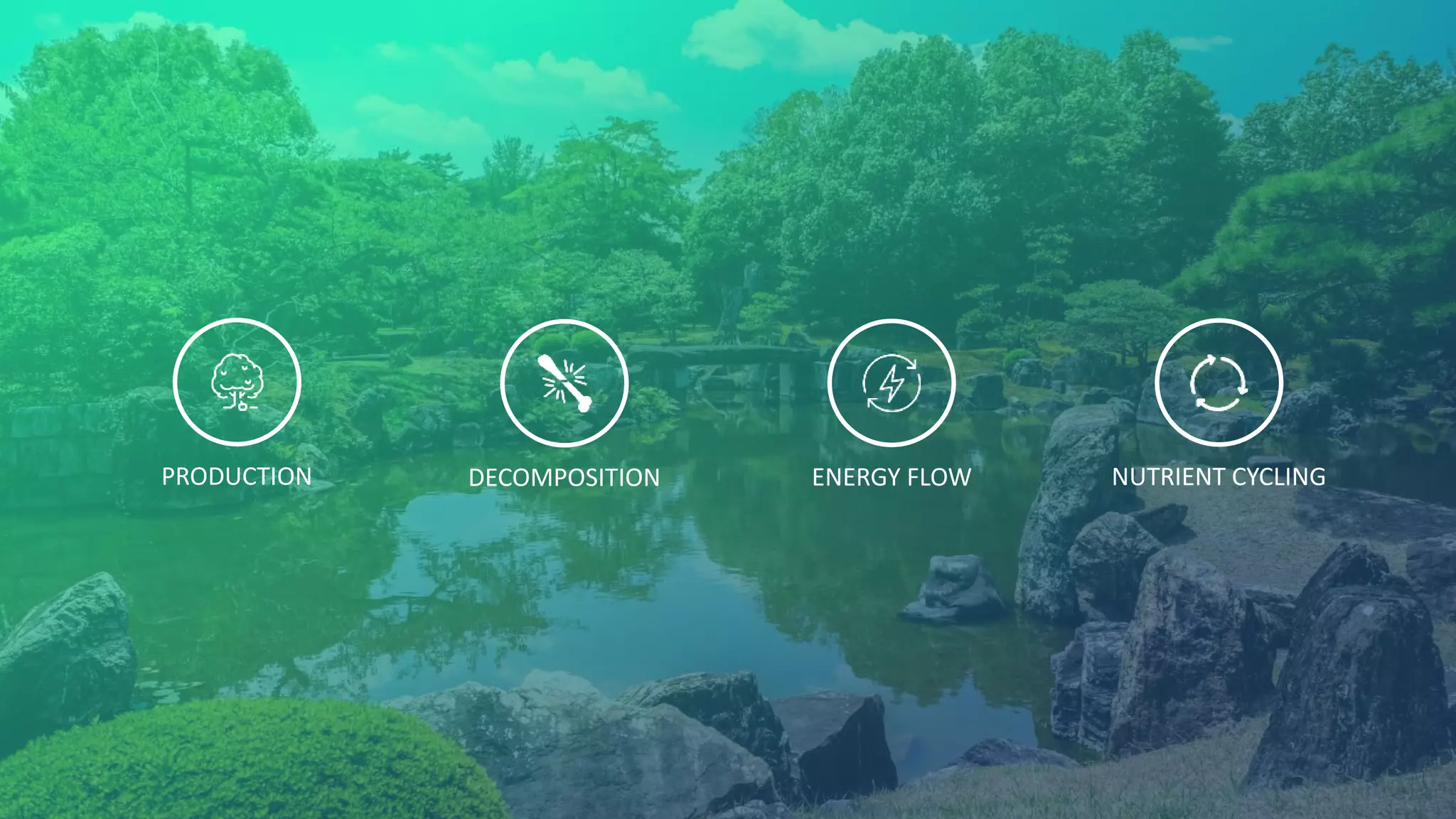 Ecosystem types | PPTX | Geography | Science